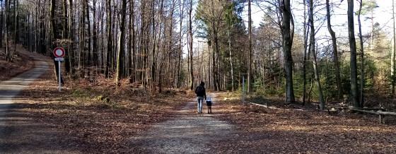 Der Grand Wintersberg und das Keltenlager auf dem Ziegenberg - Wanderung