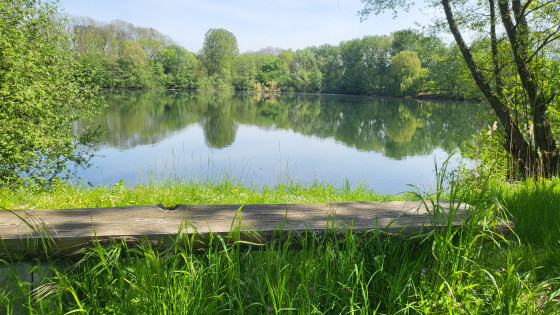 Rund um den Erlensee - Wanderung